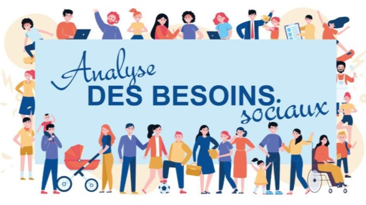 Webinaire : Analyse des besoins sociaux, plan d'actions et mise en ...